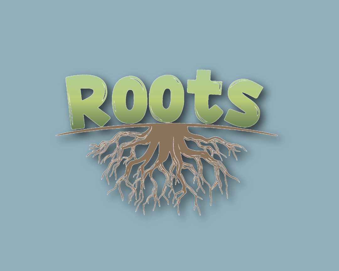 ROOTS Kids Curriculum | Free Methodist Church - USA